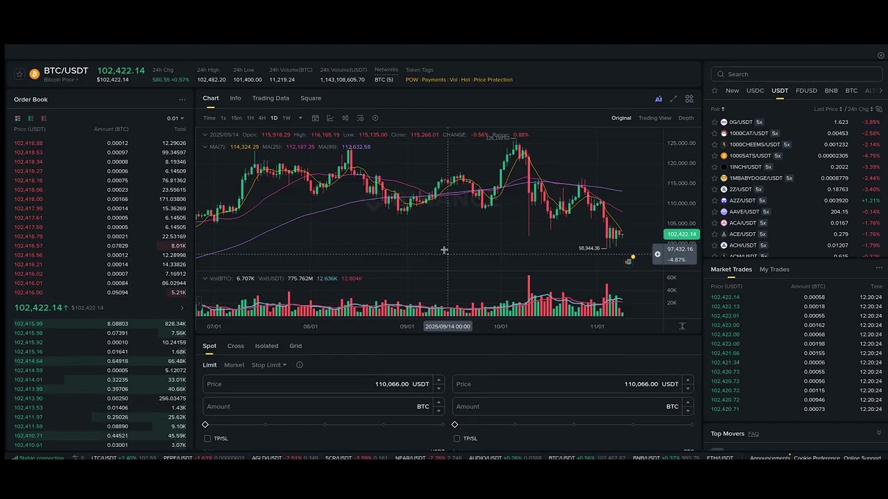 LIVE BTC/USDT CHART: Real-Time Bitcoin Price Tracker (Current Market ...
