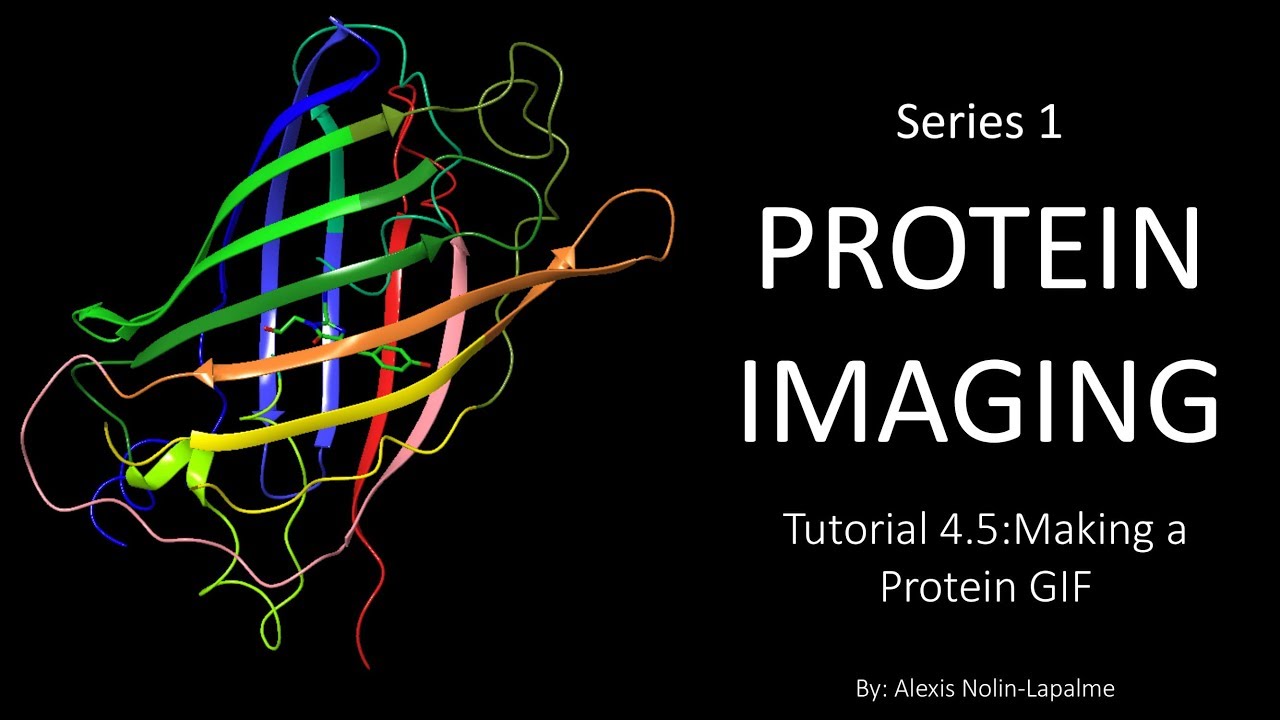 Protein Imaging - Making a Protein GIF - YouTube