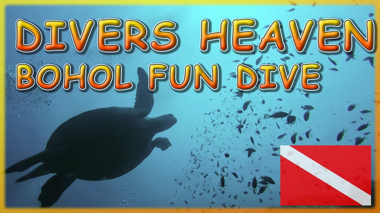 Divers Heaven 2023 - Fun Dive 20m - YouTube