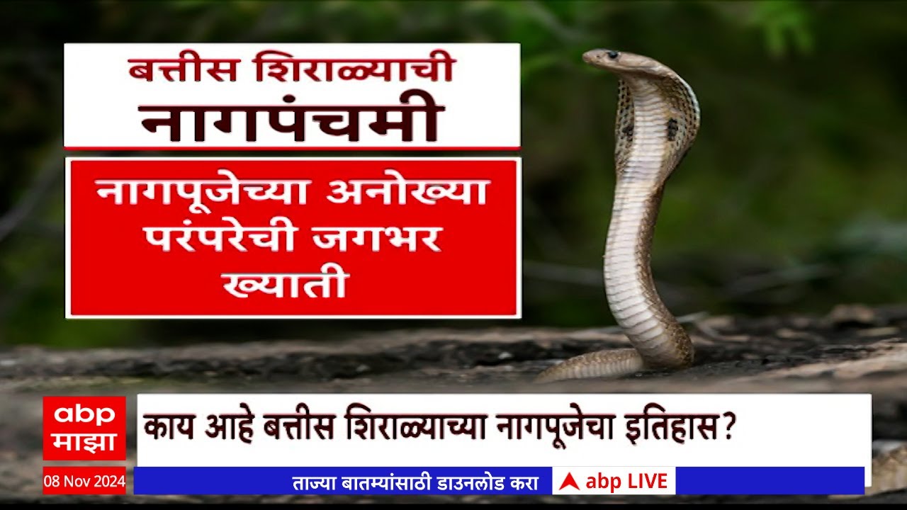 Battis Shirala Nag puja : बत्तीस शिराळ्याची नागपंचमीची प्रथा नेमकी काय ...