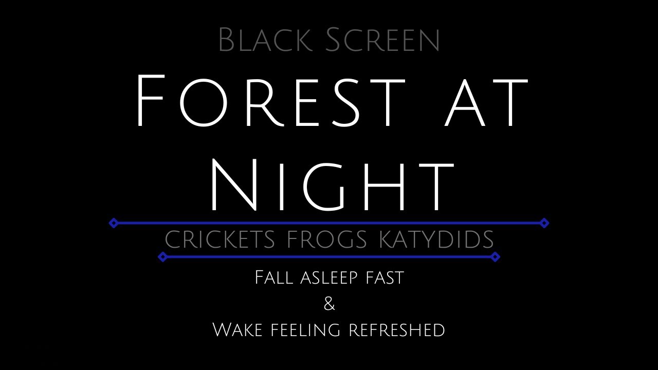 10 Hours - Forest at Night - Forest Frogs - Crickets - Katydids ...