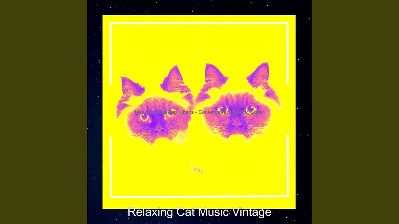 Easy Listening Electric Guitar Soundtrack for Cats - YouTube