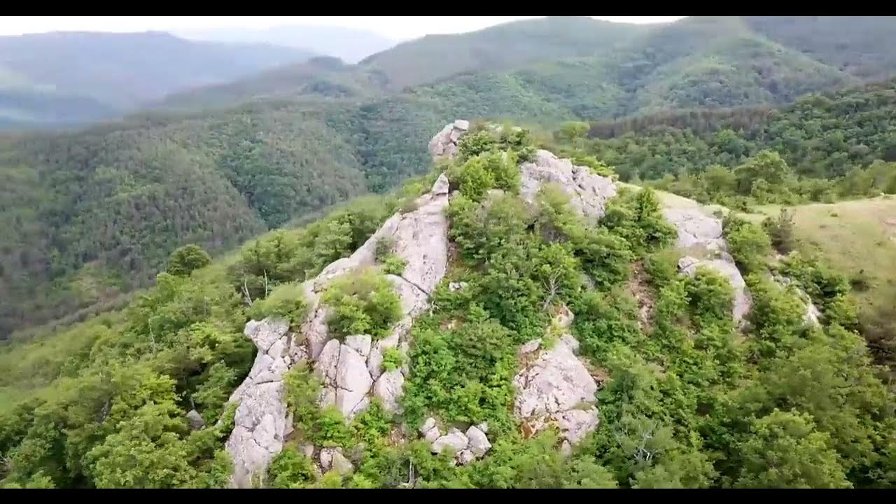 Малкият Тулпан - YouTube