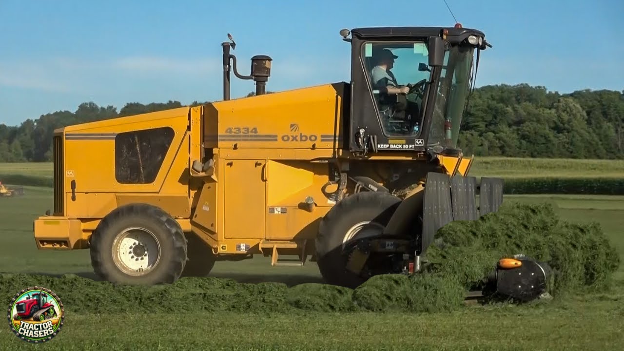 Oxbo 4334 Hay Merger at Work on the Farm - YouTube