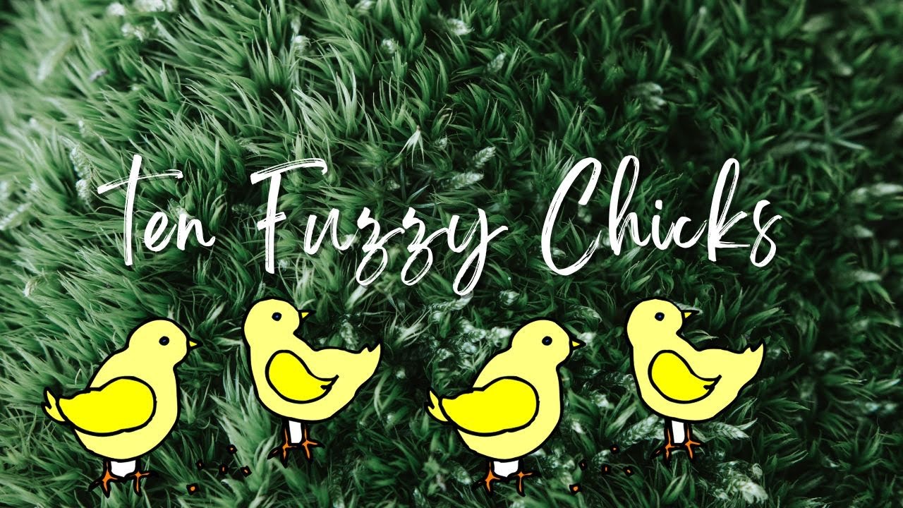 Fingerplay Song 10 Fuzzy Chicks - YouTube