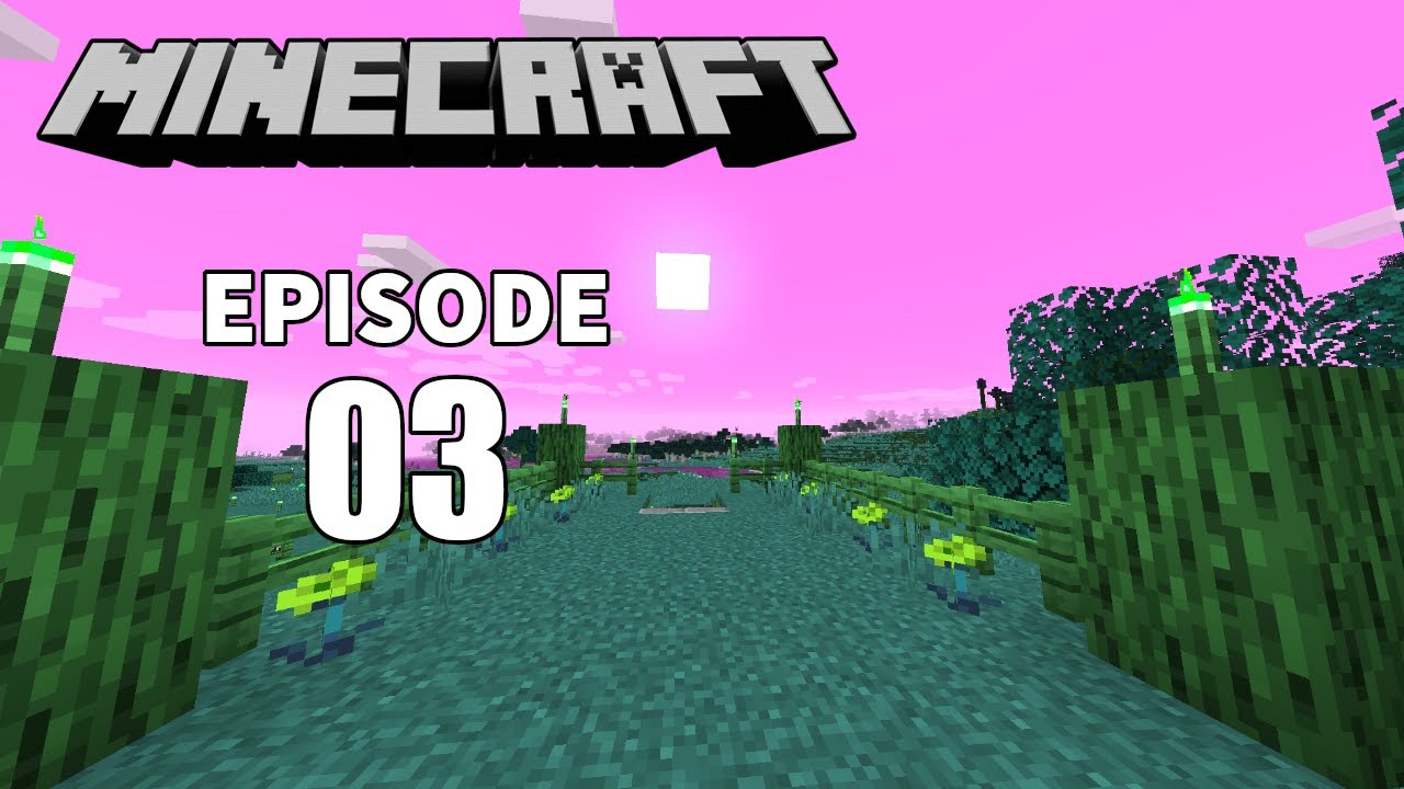MINECRAFT: NEW UPDATE - 1.16 SURVIVAL LET'S PLAY | Ep 3 - YouTube