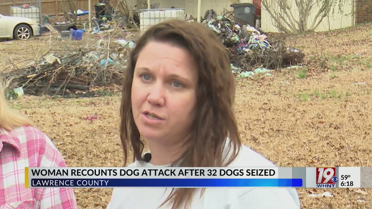 Woman recounts dog attack after 32 dogs seized-January 24, 2024-News 19 ...