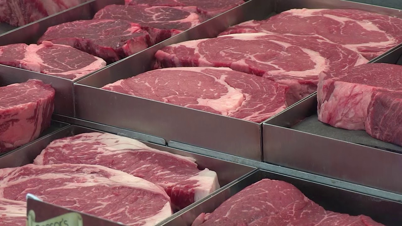 Angus VNR: CattleFax on supply, demand and profitability - YouTube