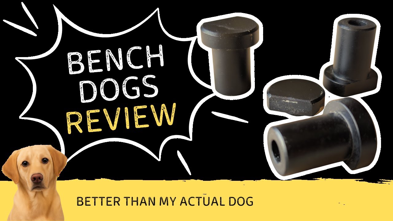 These Bench Dogs Are Better Than My Actual Dog | Workshop Must-Have ...