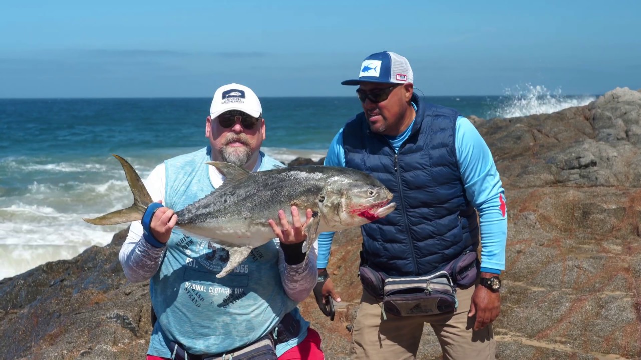 The surf fishing season is about to start in Cabo San Lucas - YouTube