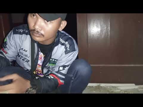 Rumah genderuwo,,Wisma Sermo Kulon Progo Yogyakarta‼️ - YouTube