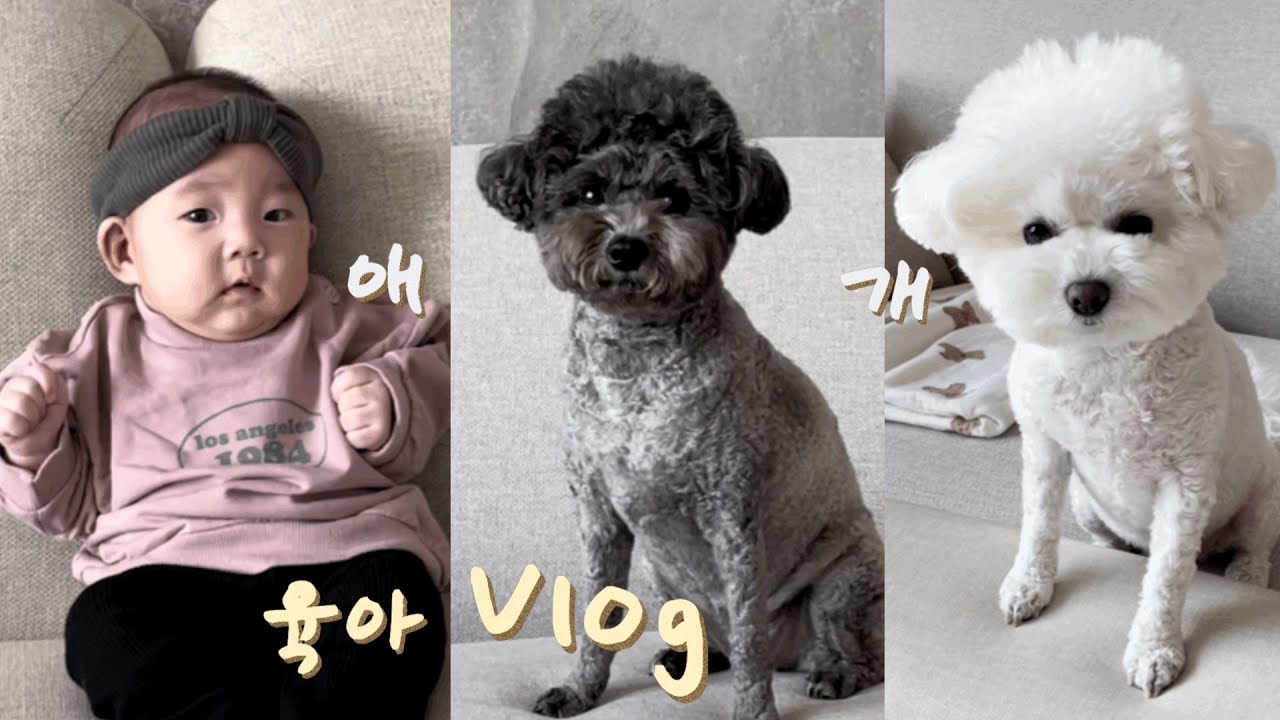 육아브이로그 애개육아 브이로그 시작👶🏻🐶 I 2개월차 아기 터미타임 천재 I 스벅 클래식밀크티 후기 I 육아템 I 2개월