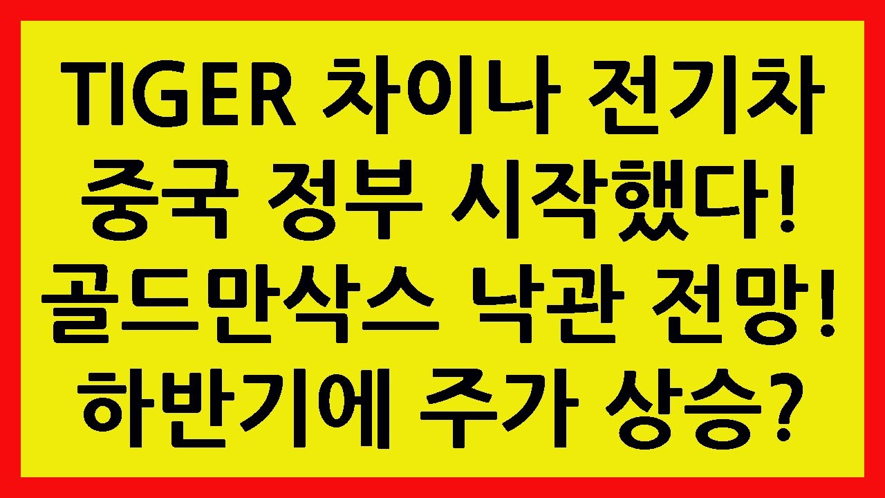 차이나 전기차 Solactive 주가 전망 타이거 Tiger Etf 레버리지 중국 2차전지 배터리 주식 장기 투자 장투 단타