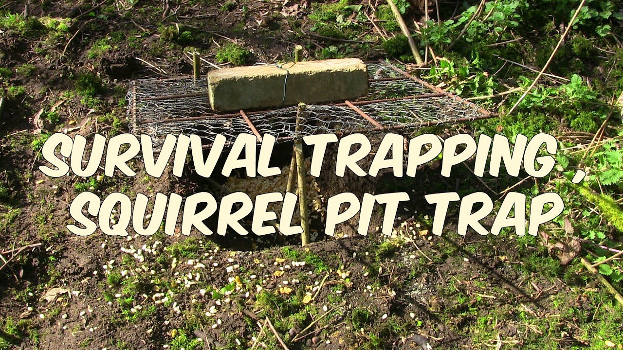 Survival Trapping: Squirrel Pit Trap - YouTube