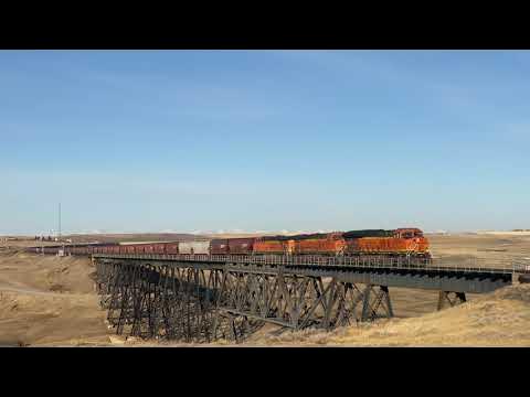 BNSF #3874 Grain Train 03/17/2021 Cut Bank MT - YouTube