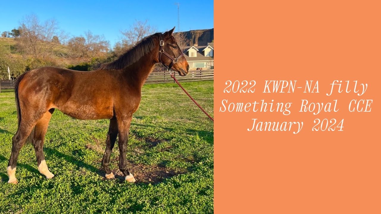 Something Royal CCE - January 2024 - YouTube