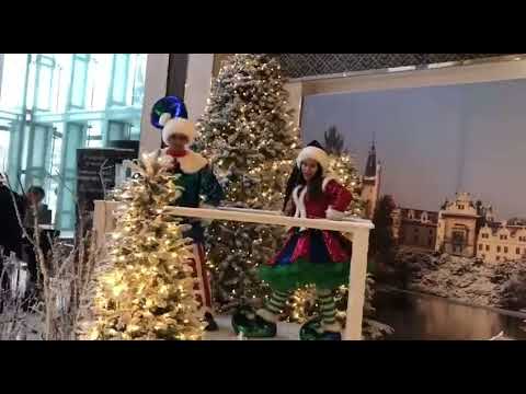 Новогодние Эльфы | wow-party.events
