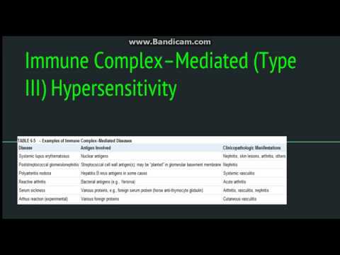 Type 3 Hypersensitivity reaction - Immune Complex Mediated - YouTube