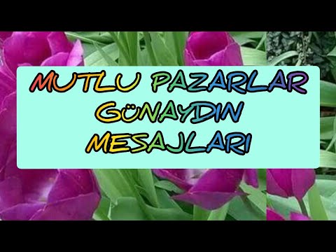 🌿EN YENİ🌸🌿EN GÜZEL🌿🌸MUTLU PAZARLAR MESAJLARI🌸🌿İYİ TATİLLER🌿🌸HAFTASONU RESİMLİ GÜNAYDIN MESAJLARI🌿🌸🌿🌸