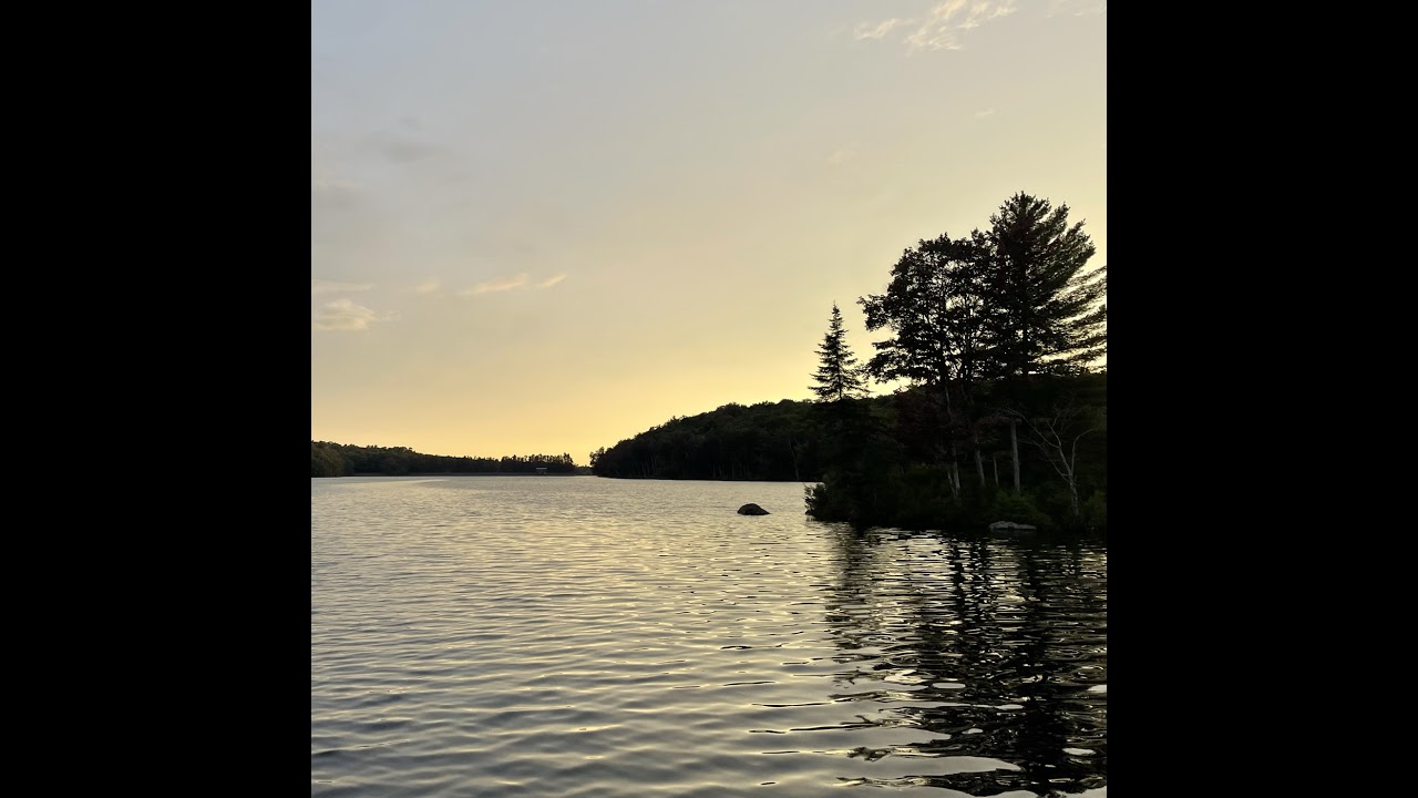 Delaney Elizabeth🌞 is live! - YouTube