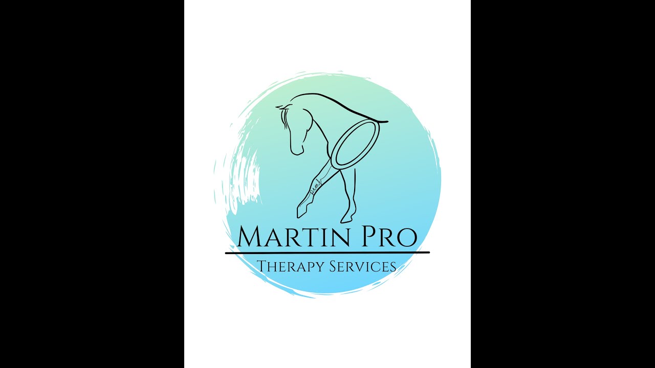 Direct comparison of two different brand PEMF machines on a horse ...