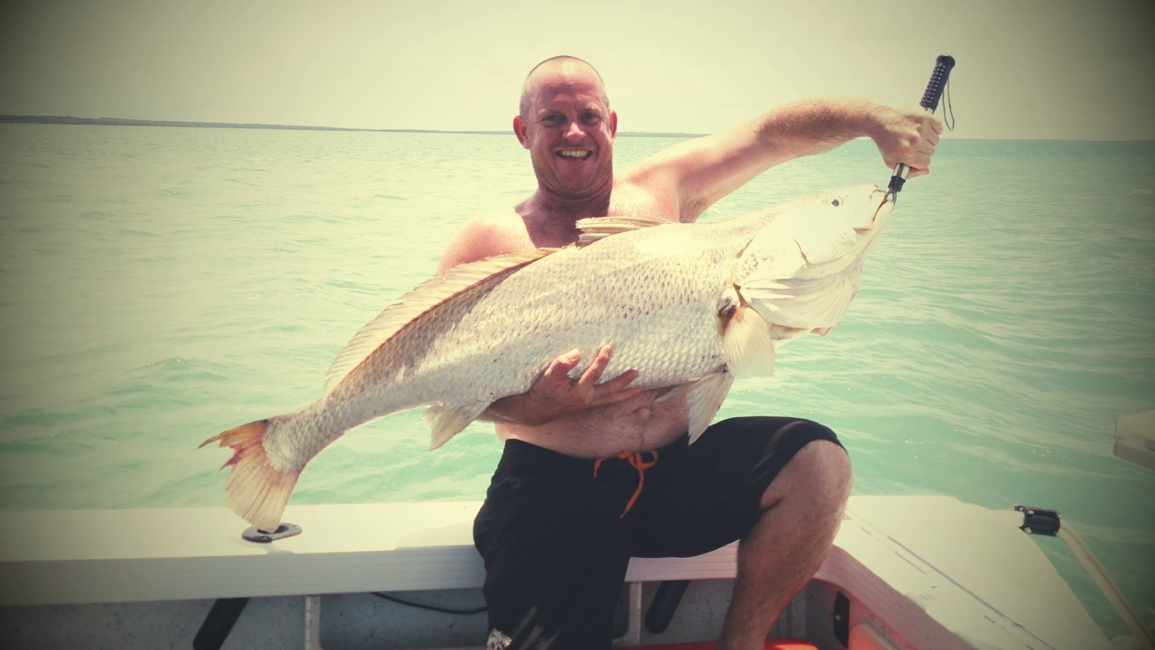 Another highLIght of 130 cm black jewfish in Bynoe harbour Australia ...