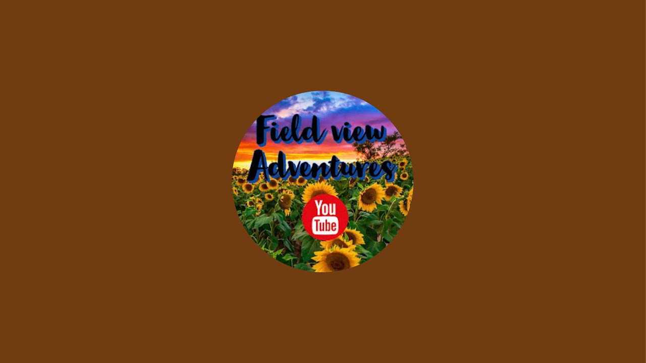 Field view Adventures is live - YouTube