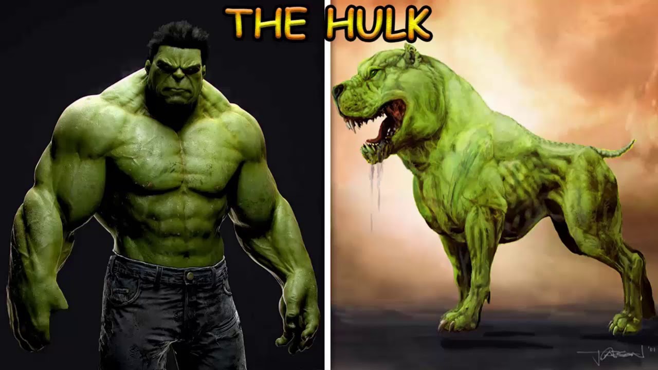 Superheroes In Real Life As Dogs 2018 - Characters In Real Life - YouTube