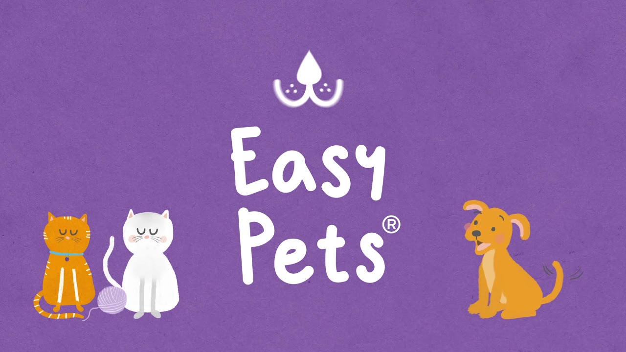 פרסומת לחנות החיות ההולנדית Easy Pets - YouTube