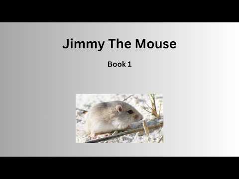 Jimmy The Mouse Book 1
