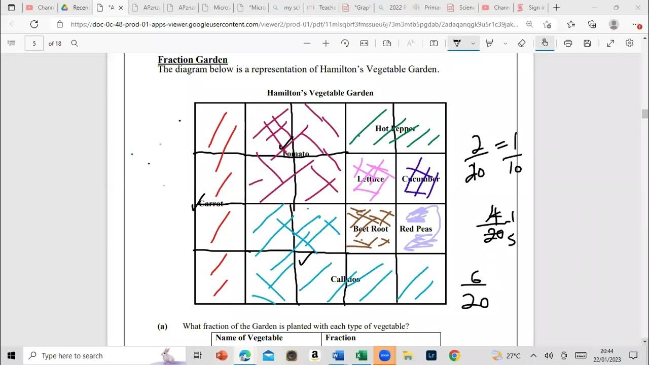 Grade 4, 5 , 6 Performance Task PEP Paper 2023 solution - YouTube