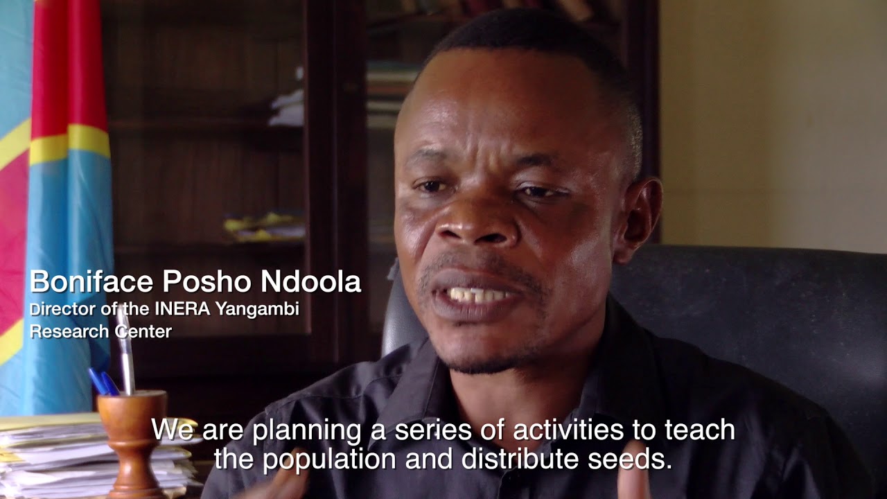 Yangambi: Where history becomes the future (Full version) - YouTube