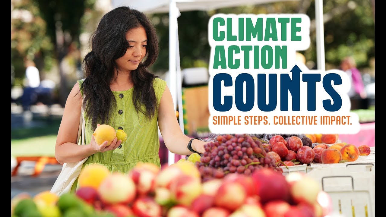 Simple Steps. Collective Impact! - YouTube
