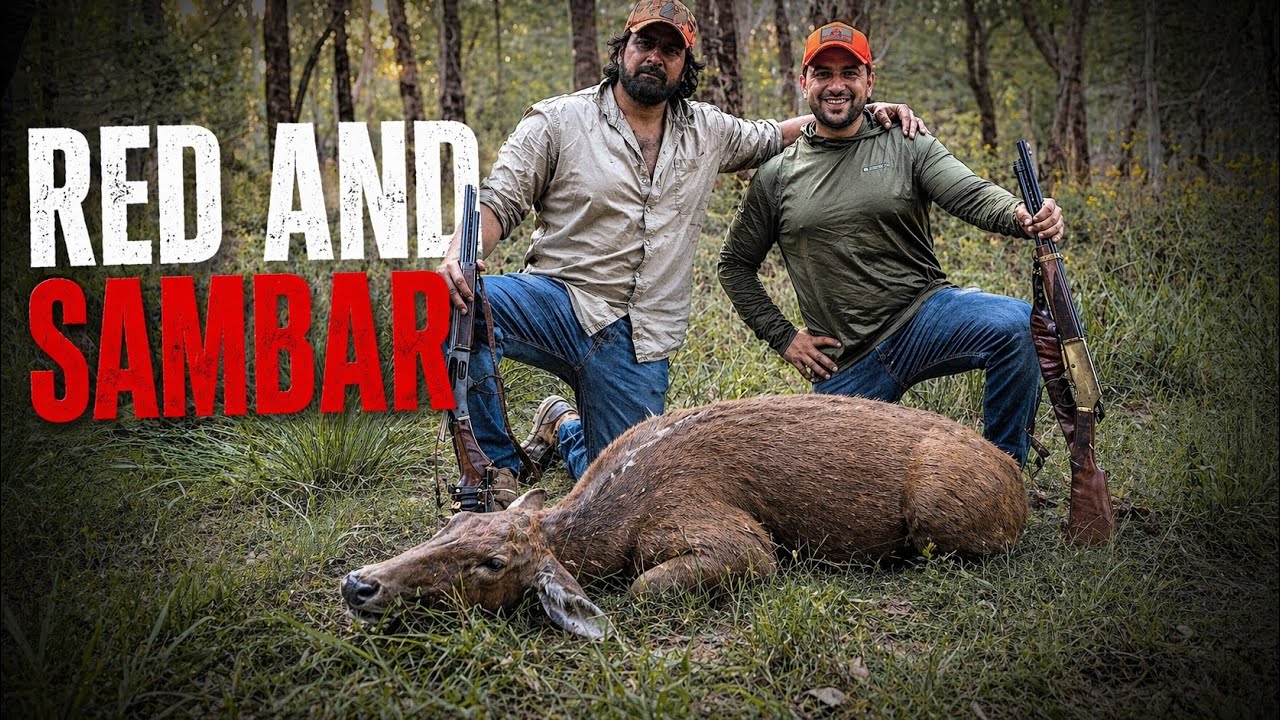 Red & Sambar in One Hunt?! | NSW State Forest Hunting | Realtime ...