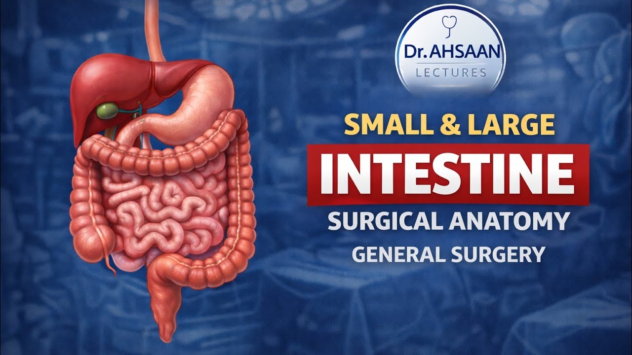 Surgical Anatomy of Small & Large Intestine Explained | General Surgery ...
