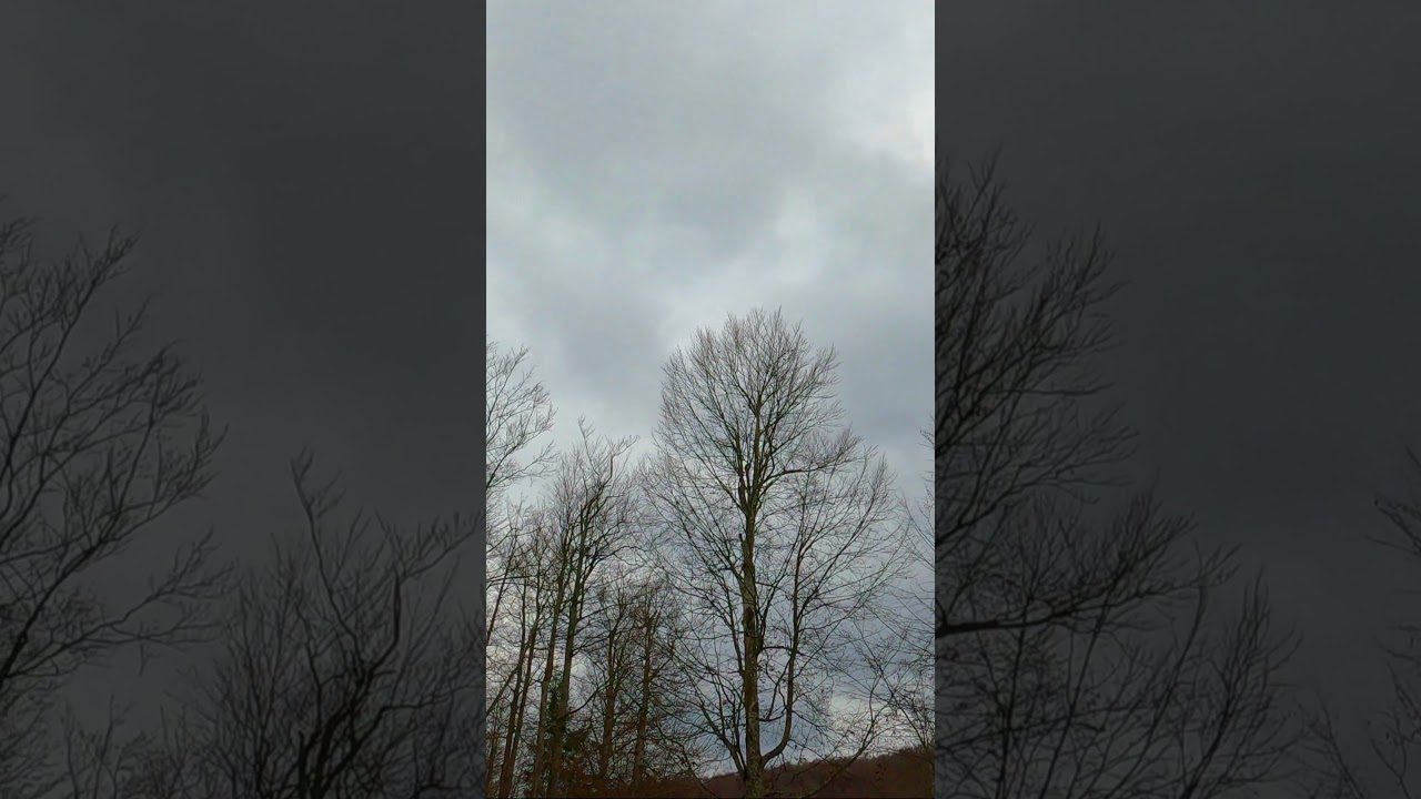 nature 4K 723 free vertical scene video 8 - YouTube