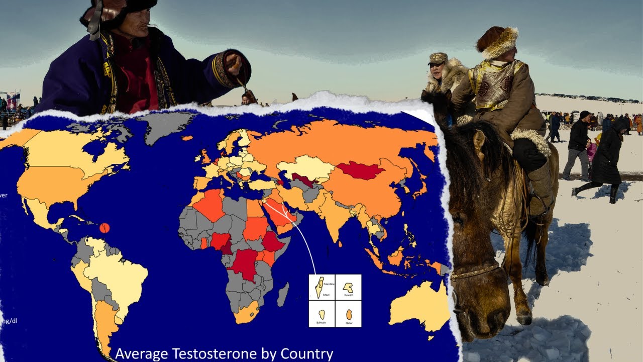 Countries with Highest Testosterone: Diet & Lifestyle Examined - YouTube