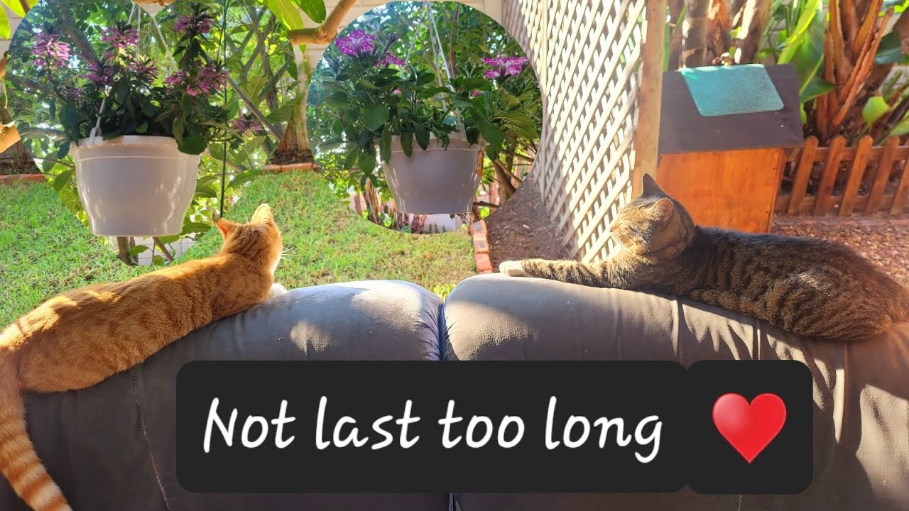 Not last, too long♥️ - YouTube