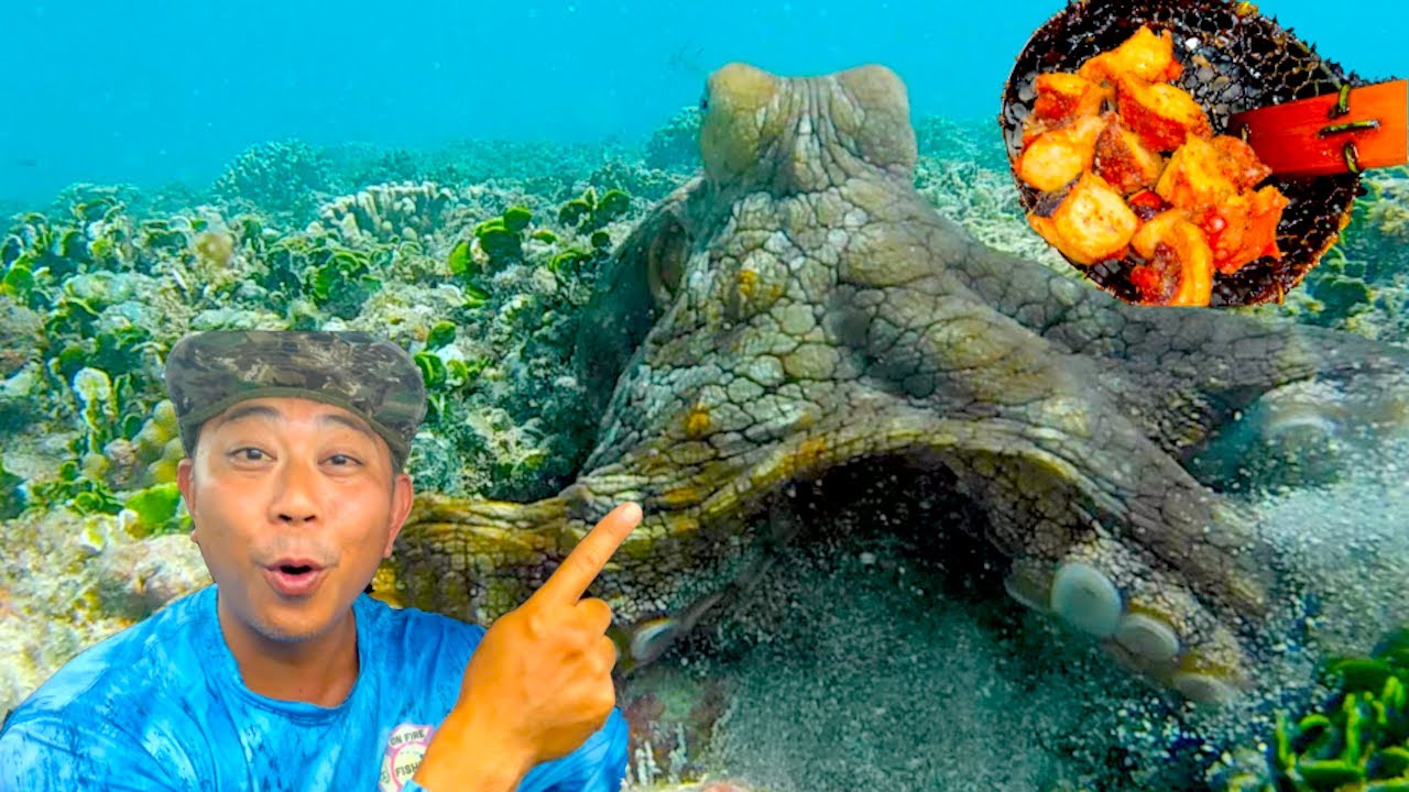 FAMOUS POPCORN TAKO, HAWAII CATCH AND COOK VLOG, SPEARFISHING HAWAII ...