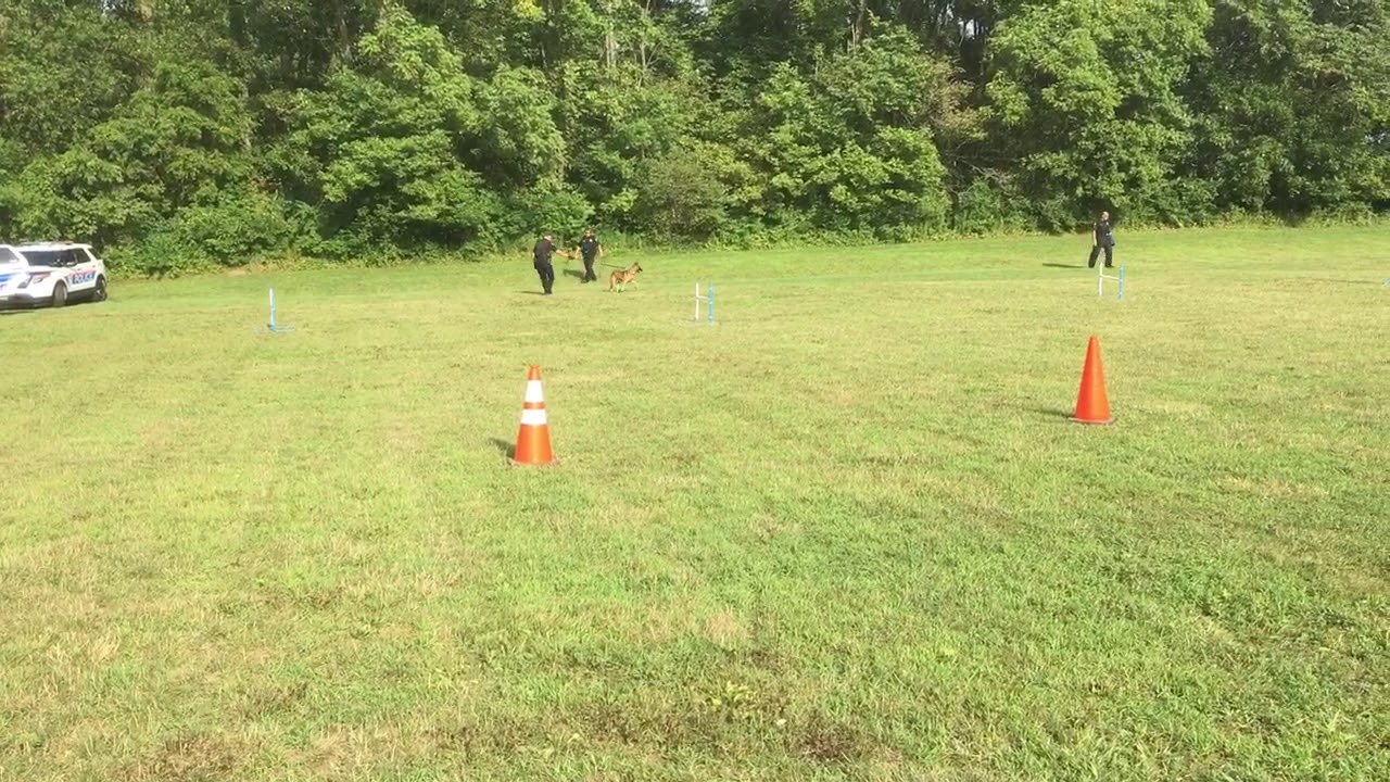 Community Safety Event K-9 unit demonstration on 8-17-19 - YouTube
