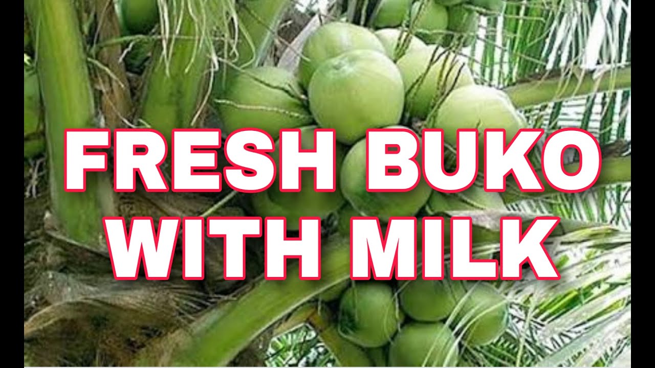 ANG SARAP NG BUKO NA MAY GATAS - YouTube
