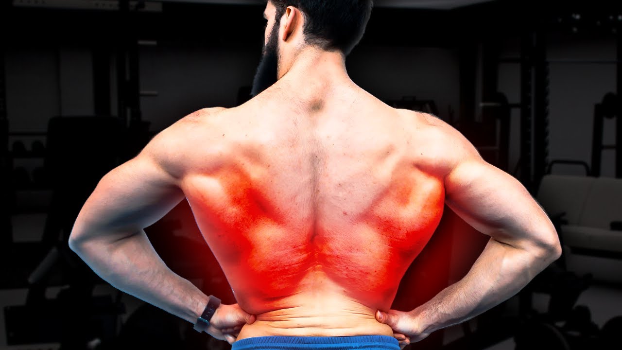 The Smartest Back Workout (Science-Based) - YouTube