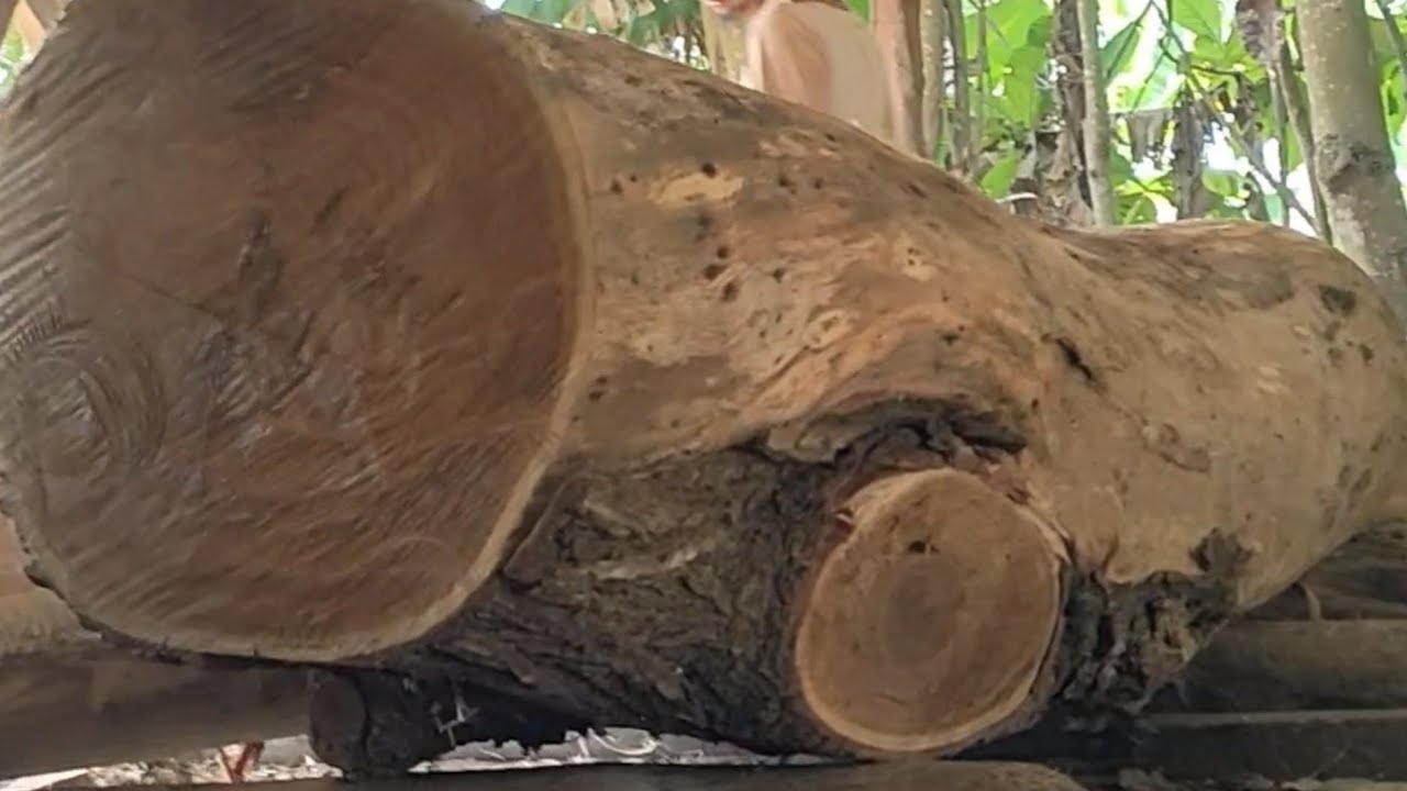 Menakjubkan bentuk kayu ini proses pemotongan dipenggrajian Indonesia ...