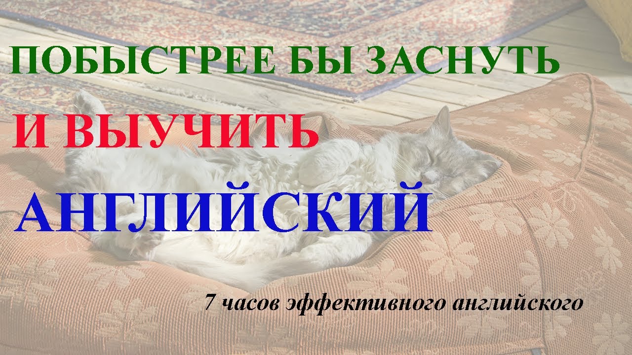 Изучать английский язык во сне Самые важные английские фразы и