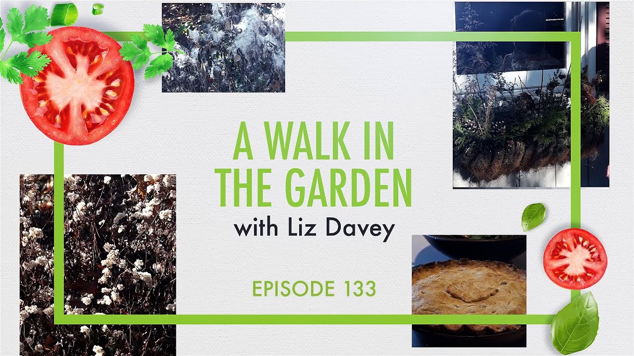 A Walk In The Garden - Episode 133 - YouTube