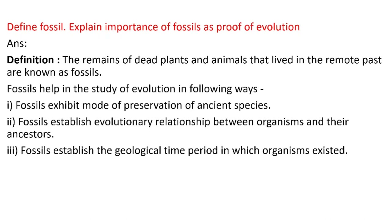 Define Fossil