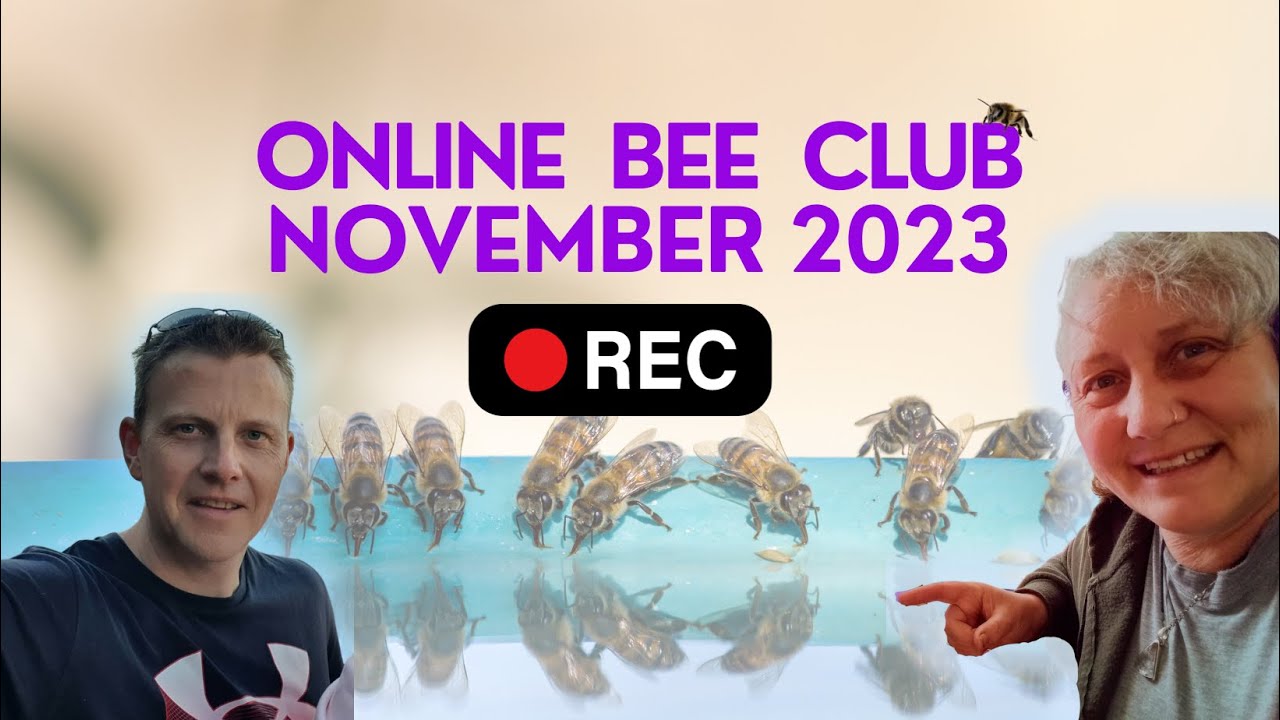 Hive Buddy Bee Club November 2023 - YouTube
