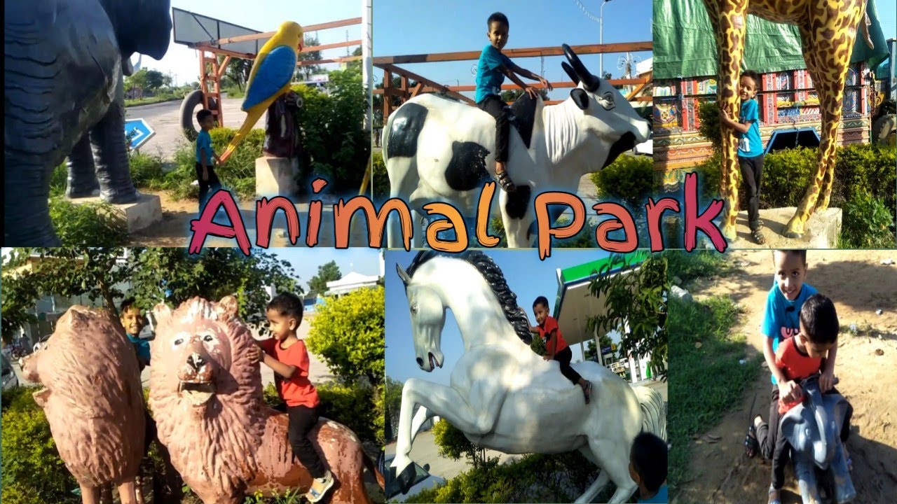 Animal park | Best animal park | Kids are playing with animals | animal ...