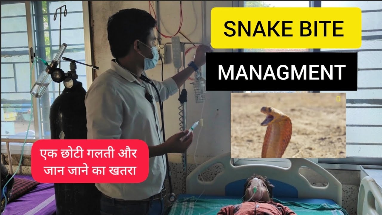 Snake bite management in hospital /Dr C.S.Verma mbbs - YouTube