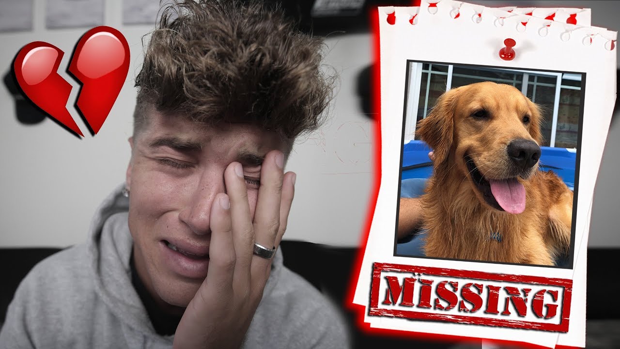 HELP! Max is missing.... someone broke into my apartment - YouTube